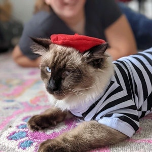 Complete French Cat Outfit Cat Beret Ascot and Striped Shirt - Etsy
