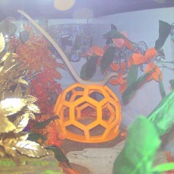 Python Playground: Snake & Boa Constrictor Enrichment Jungle Gym - Etsy