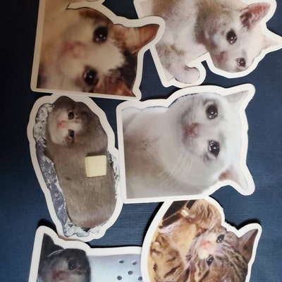 Crying Cat Sticker Pack Pack of 7 Meme Crying Cat Stickers - Etsy