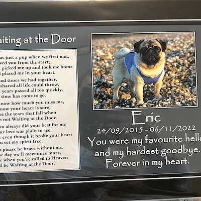 Cocker Sprocker Spaniel Dog Memorial Magnetic Sympathy Card - Etsy UK