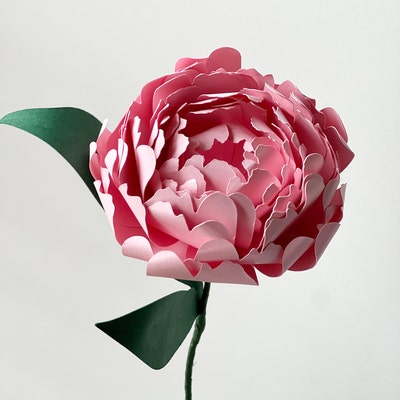 Paper Flower Sepal Template Stemming Base Leaf for Small or Rolled ...