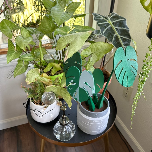 Monstera Coaster Plant | Stylish 3D Printed Leaf Design | Eco-friendly ...