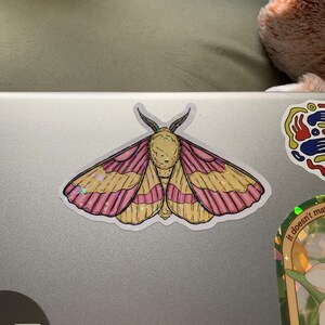 Stack of Books Holographic Sticker, Laminated Stickers, Laptop Decal ...