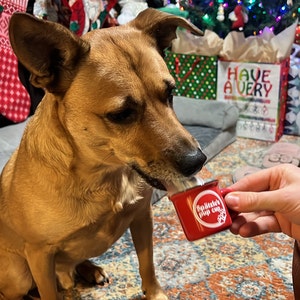 Reusable Pup Cup Custom Puppuccino Mug Dog Mom Gift 2oz - Etsy