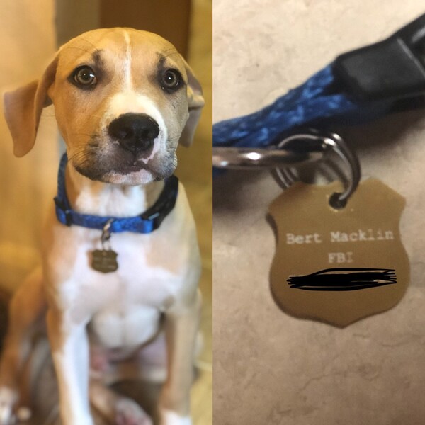 Laser Engraved Medium Shield Dog Pet ID Tag - Etsy