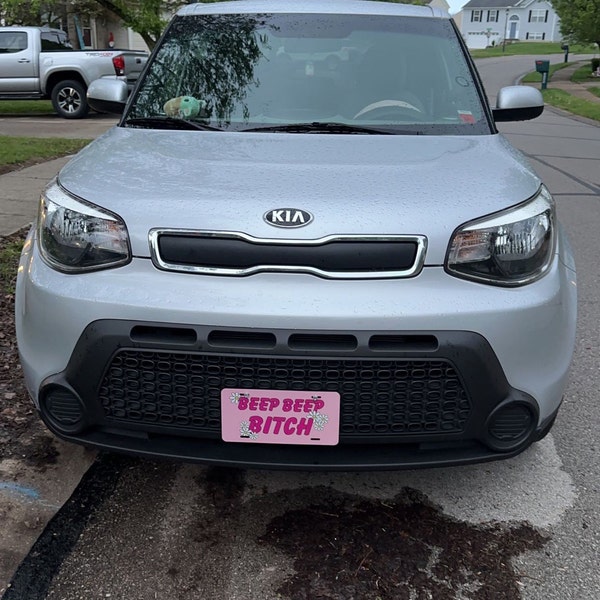 Bigfoot Alien UFO License Plate - Custom Cryptid Car Tag - Personalized ...