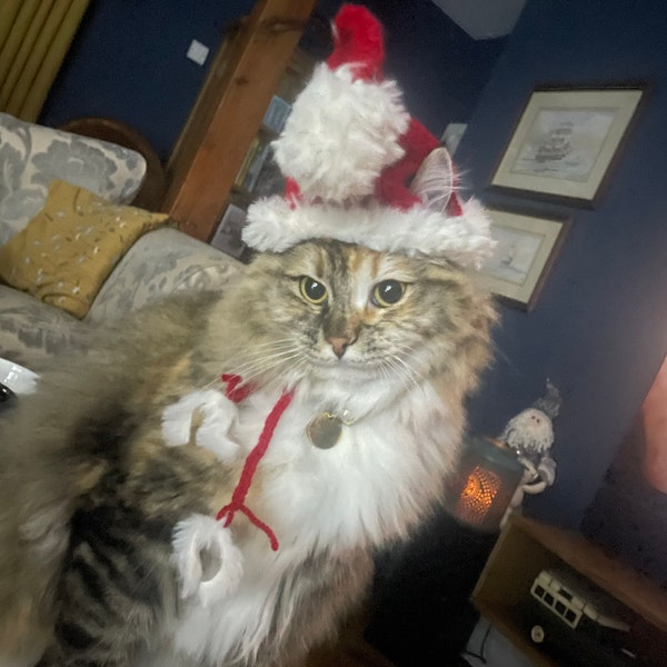 MATCHING SET - Hand Knitted Strawberry Cat Hat With 2 Matching Hats for ...