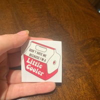 Little Cooler Vinyl Sticker Vinyl Decal Sticker for Laptops - Etsy