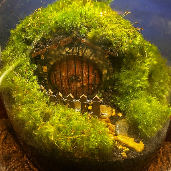 Live Frog Moss Mood Moss Pads - Dicranum for Terrarium or Vivarium ...