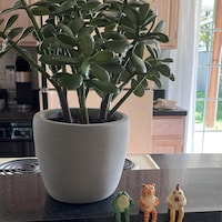 Handmade Polymer Clay Green Small Tiny Toad Figurine Personalized Gift ...