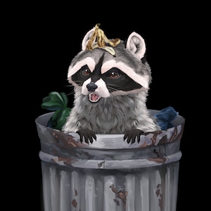 Racoon Vtuber Avatar Full Body/fully Rigged Live2d Model - Etsy