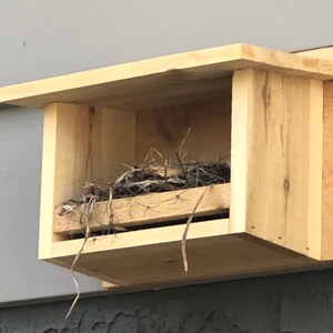 Birdhouse Predator Guard 1-1/2 Bluebirds / House Finches - Etsy