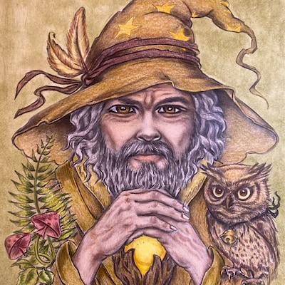 Wizard Coloring Page GRAYSCALE Male Magic Owl Woodland Male ...