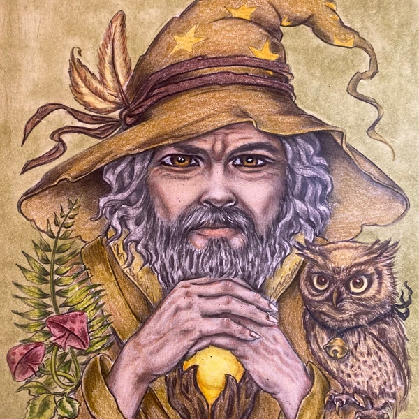 Wizard Coloring Page GRAYSCALE Male Magic Owl Woodland Male ...