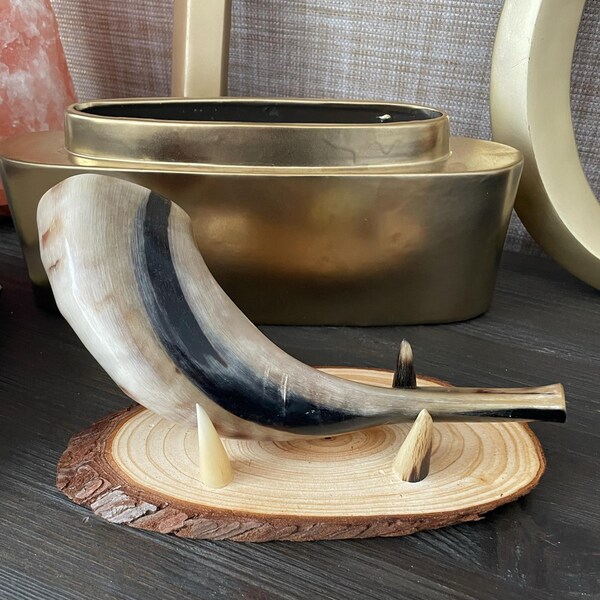 Shofar Eland Horn 18"-20" Straight Line Measured Polished New AMAZING ...