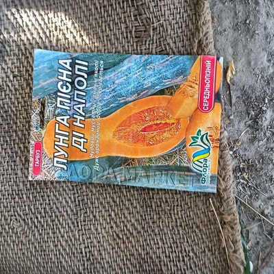 Tomato Seed Tomato Seeds Jason 2110 - Etsy Canada