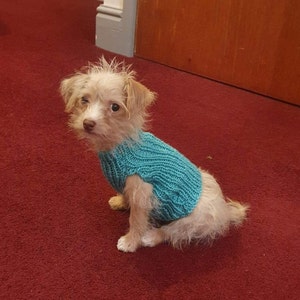 Bearded Dragon Sweaters Hamster Clothes Hamster Sweater | Etsy