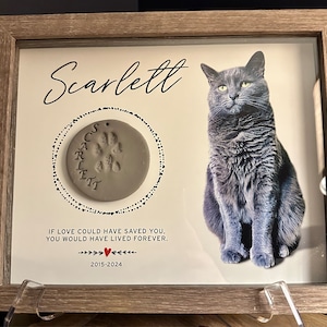 Pet Memorial Paw Print Harness Holder Shadow Box, Pet Loss Frame, Clay ...