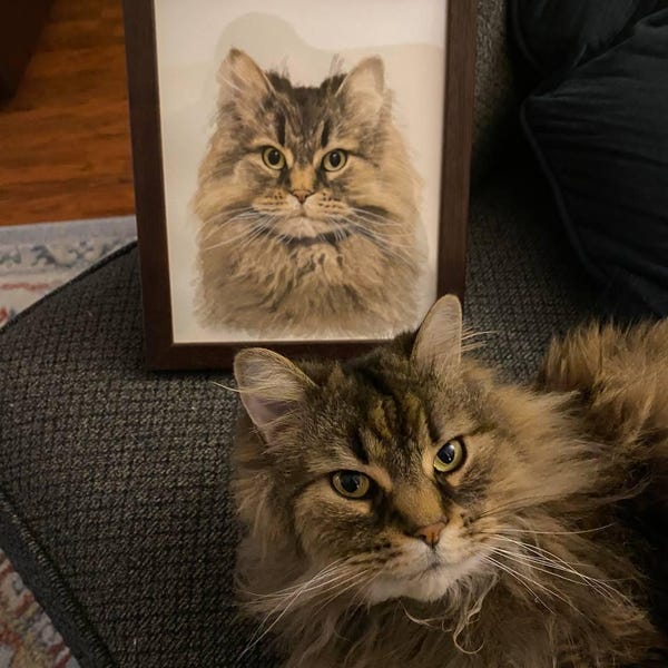 Mini Custom Watercolor Cat Portrait, Cat Portrait From Photo, Hand ...