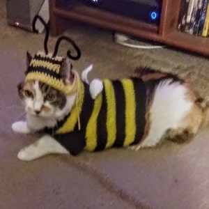 Alien Cat Costume - Etsy