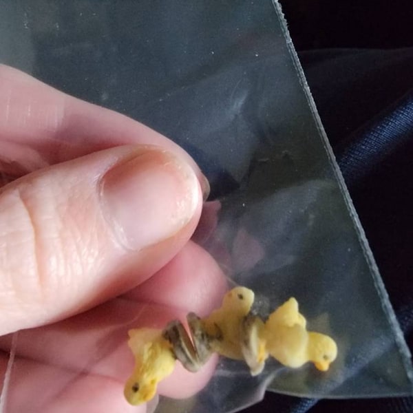 Miniature Chickens, Micro Mini Chicks, Rooster, Hens, Fairy Garden Farm ...