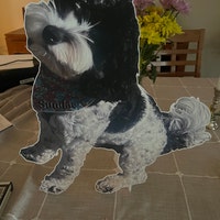 Seaweed Party Prop Cutouts Mermaid Themed, Mermaid Birthday Decoration ...