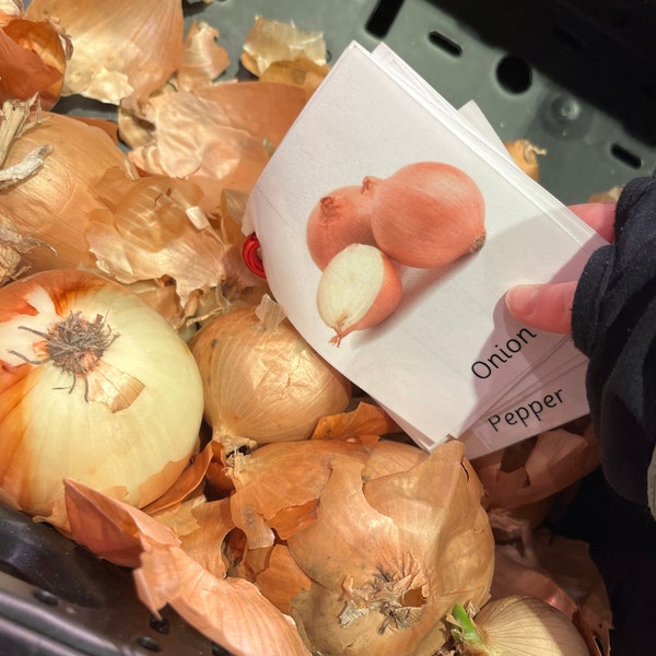 FIRST FOODS (real Pictures) • 92 Editable Montessori Cards • Flash ...