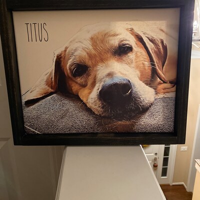 The Litter Room Funny Cat Office Sign Perfect Gifts for Pet - Etsy