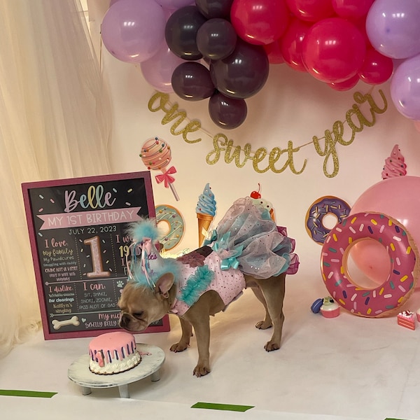 Dog First Birthday Sign, Puppy 1st Birthday Poster, Puppy First ...