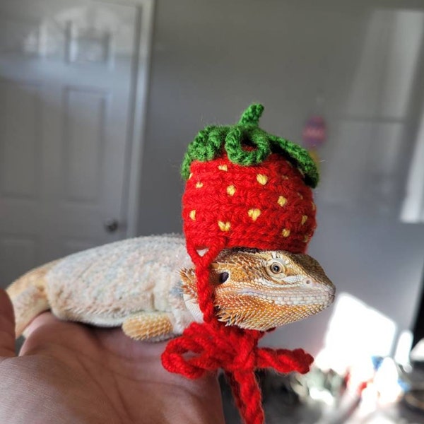 Tiny Reptile Hat, Hat for Hamster, Small Lizard Hat, Clothes for Pets ...