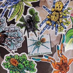 Velvet Spider Sticker 3.5 Inch Glossy Sticker Ladybird | Etsy