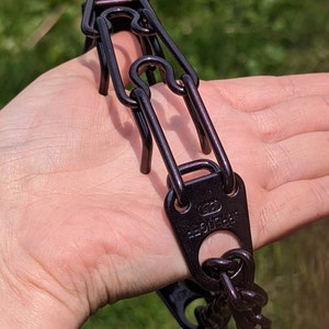 Custom Powder Coated Neon Blue Herm Sprenger Prong Collar for - Etsy