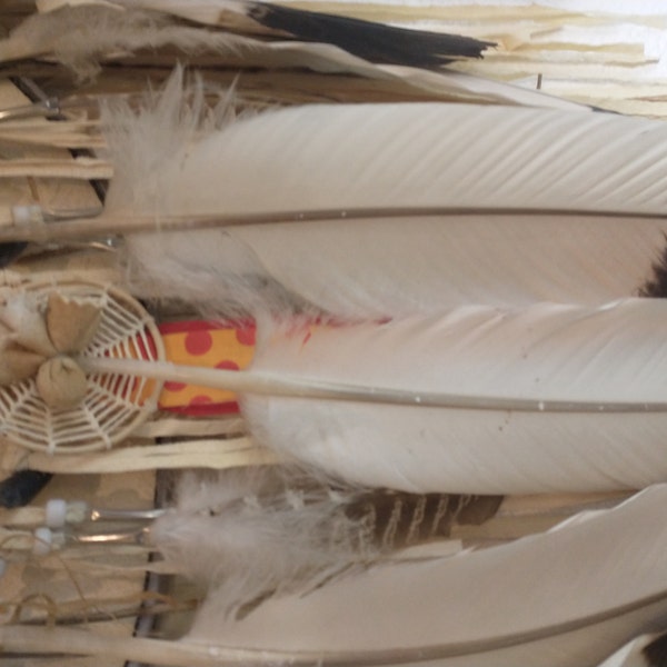 DREAM AQUA Green GP148 Kaffe Fassett Sold in 1/2 Yd Increments Multiple ...