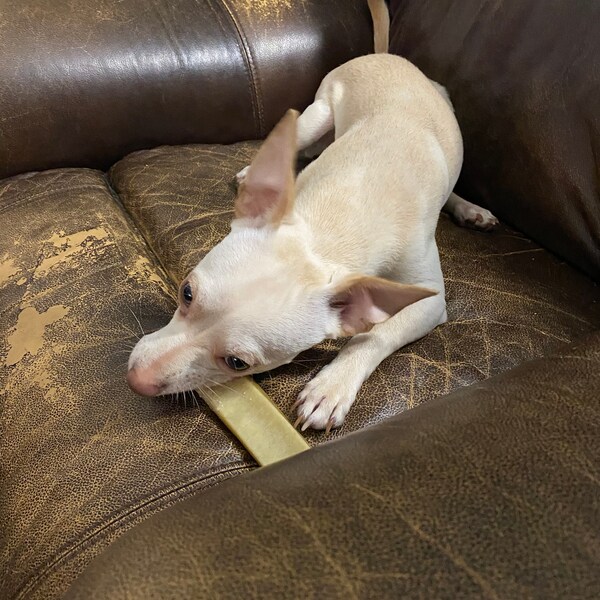 2 Pack of Aloha Crunch Bites. Churpi Yak Himalayan Puffs Infused With ...