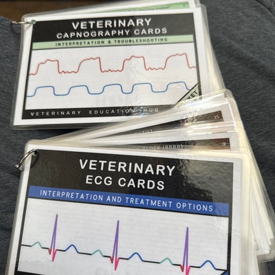 Veterinary Anatomy Flashcards, Veterinary Pocket Book, Veterinary ...