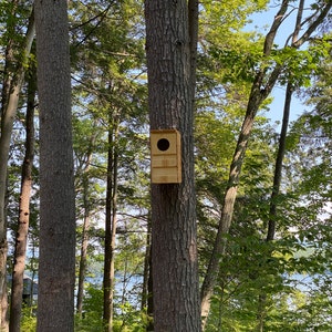Barred or Great Horned Owl Nesting Box Made of Pine and Cedar - Etsy
