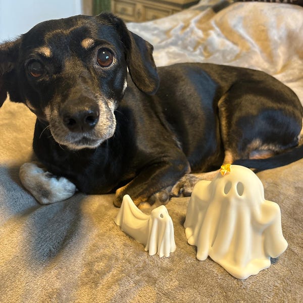 Cute Halloween Ghost, Horned Ghost or Flower Ghost And/or Friendly Pets ...