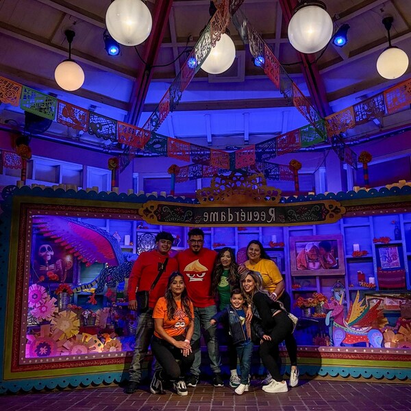 Inside Out Characters Costume, Inside Out 2 Shirt, Inside Out Group ...