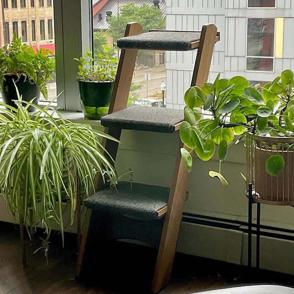 Cat Ladder - 7 Step Pine, Customizable | Movable Cat Perch – Always ...