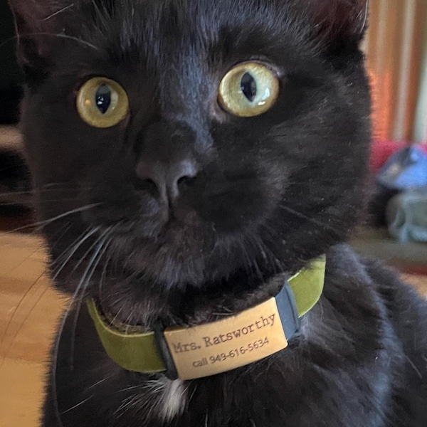 Silicone Pet Tag, Silent ID Tag for Dogs, Silent Pet Tag for Cats ...