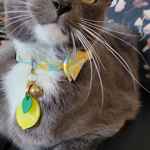 Unique Gothic Pet ID Tags With 'microchipped' Charm, Custom Dog Tag ...