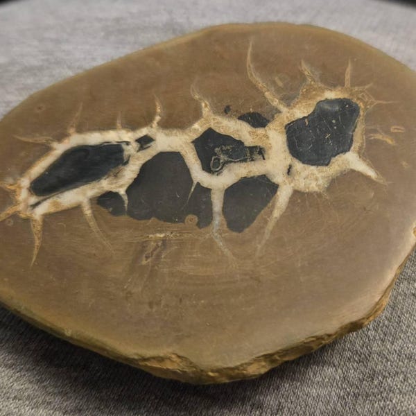 Large Cut & POLISHED 2 SEPTARIAN Nodules Morocco 0.5 - 1 Lb (matching ...