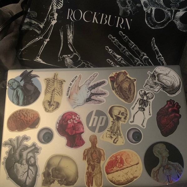 HOLOGRAPHIC Brain MRI/CT Vinyl Sticker | Anatomical Neuro Art - Etsy