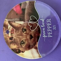 Custom Park Street Sign, Quality Personalized Decor Sign, Gift Make ...