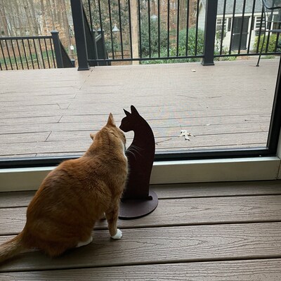 Rustic Metal Raccoon Rusty Yard Art. - Etsy