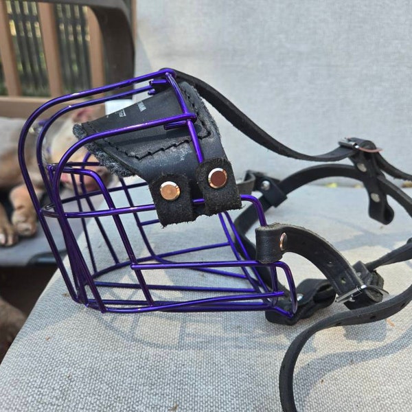 Custom Powder Coated Metal Wire Basket Dog Muzzle - Etsy