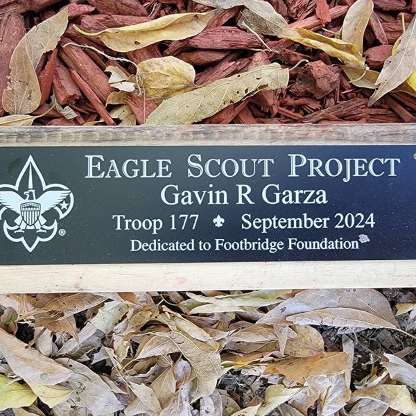 BSA Licensed AOL Den Leader Cub Scouts Plaque With Rank Insignia and ...