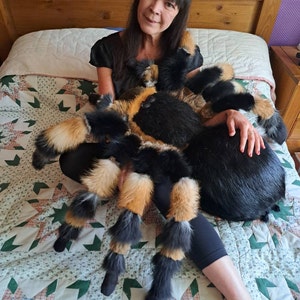 6 Jumping Spider Plush Posable Art Doll Animal Shelf Decor Insect Cute ...