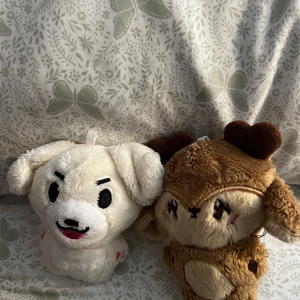 Enhypen En-dolls | Animal Fanmade Plushie | Jungwon | Heeseung | Jake ...