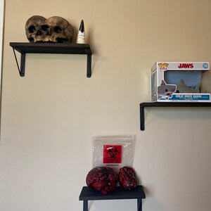 Conjoined Twins Human Skull FREE SHIPPING - Etsy